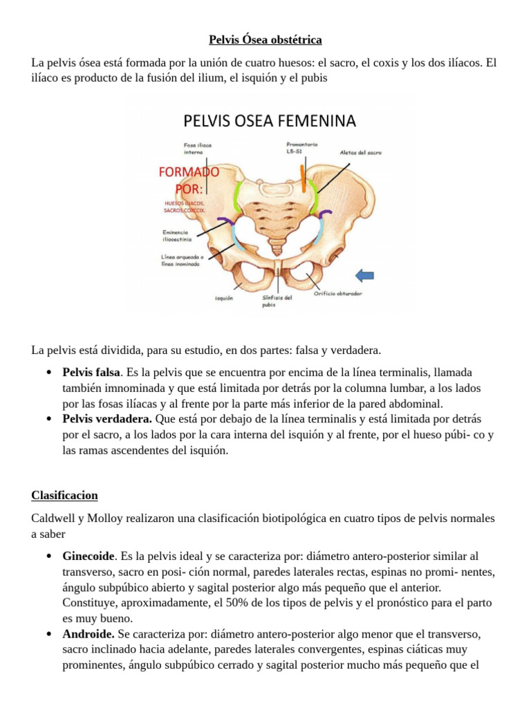Tipos de pelvis ósea obstétrica | PDF