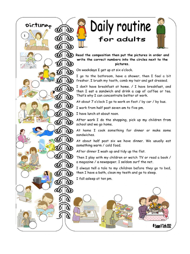 Daily Routine Adults | PDF