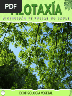 Filotaxia | PDF | Folha | Morfologia vegetal