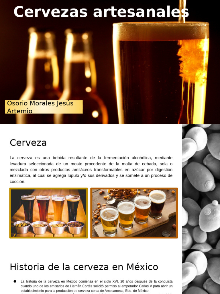 Cervezas Artesanales | PDF | Cerveza | Fermentación