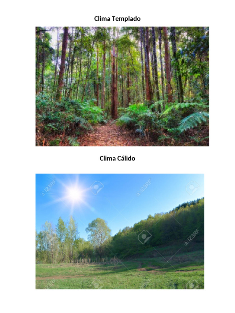 Clima Templado | PDF