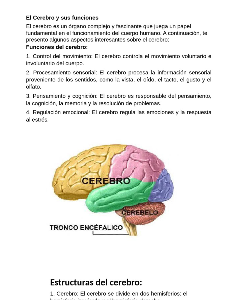 El Cerebro Como Funciona | PDF | Cerebro | Las emociones