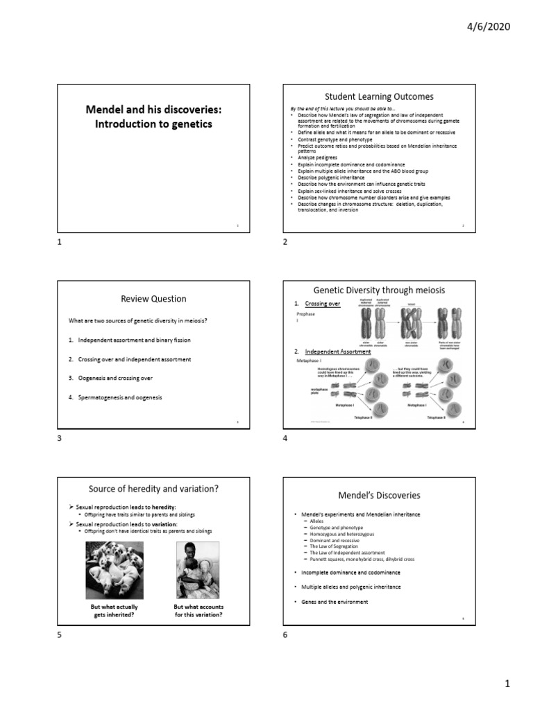 Biol 100 S'20 Lecture 14 and 15 Mendel Genetics Chromosomal Inheritance ...