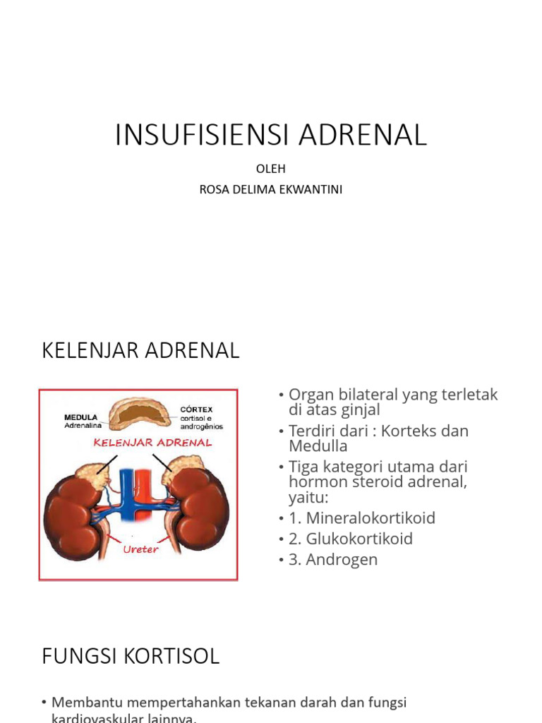 Insufisiensi Adrenal: Gejala dan Pengobatan | PDF