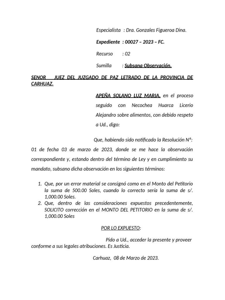 Subsana Observacion - Luz Maria Apeña | PDF