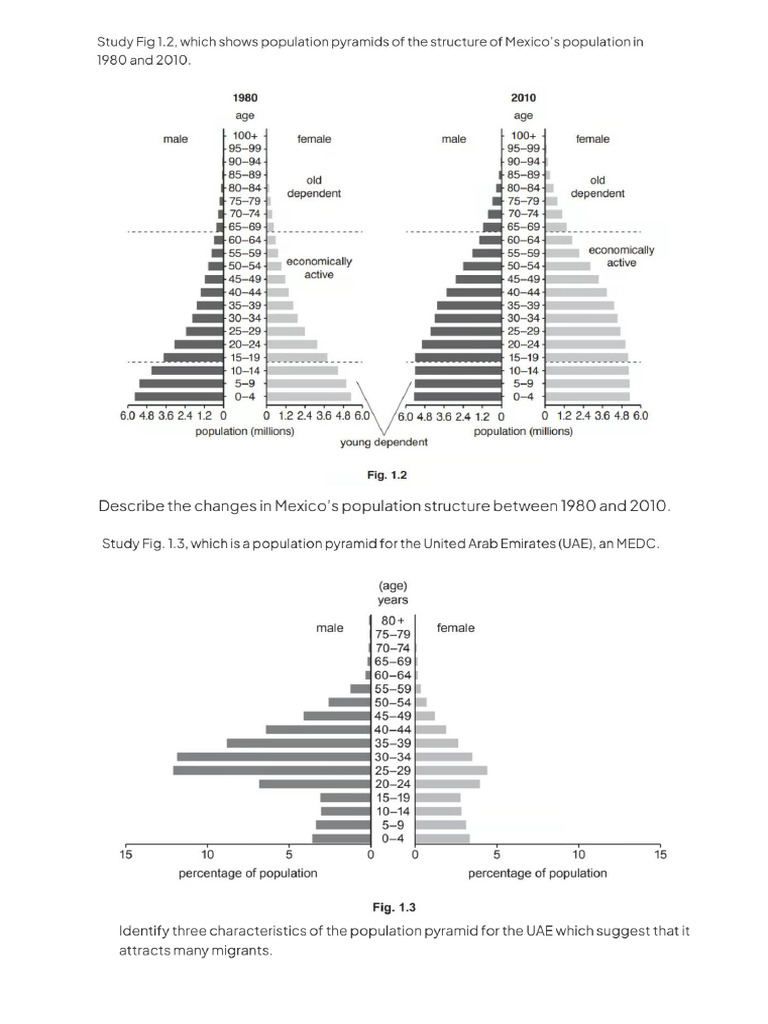 Worksheet (Population Structure) | PDF