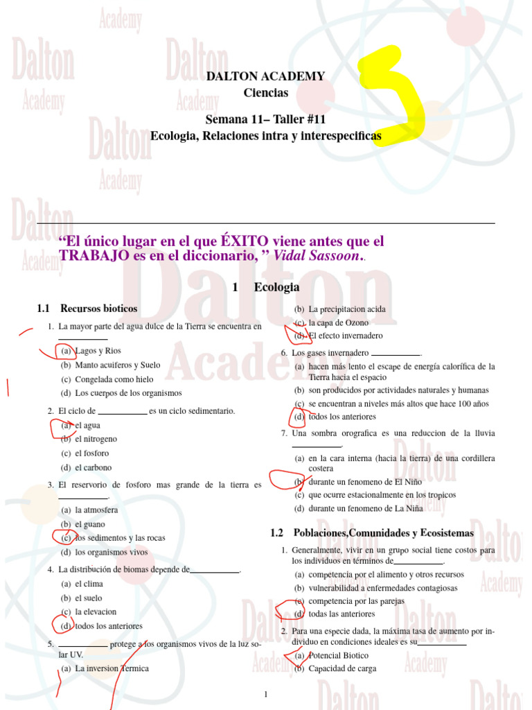 PD Talleres Ciencias (1) Compressed | PDF | Aves | Herbívoro