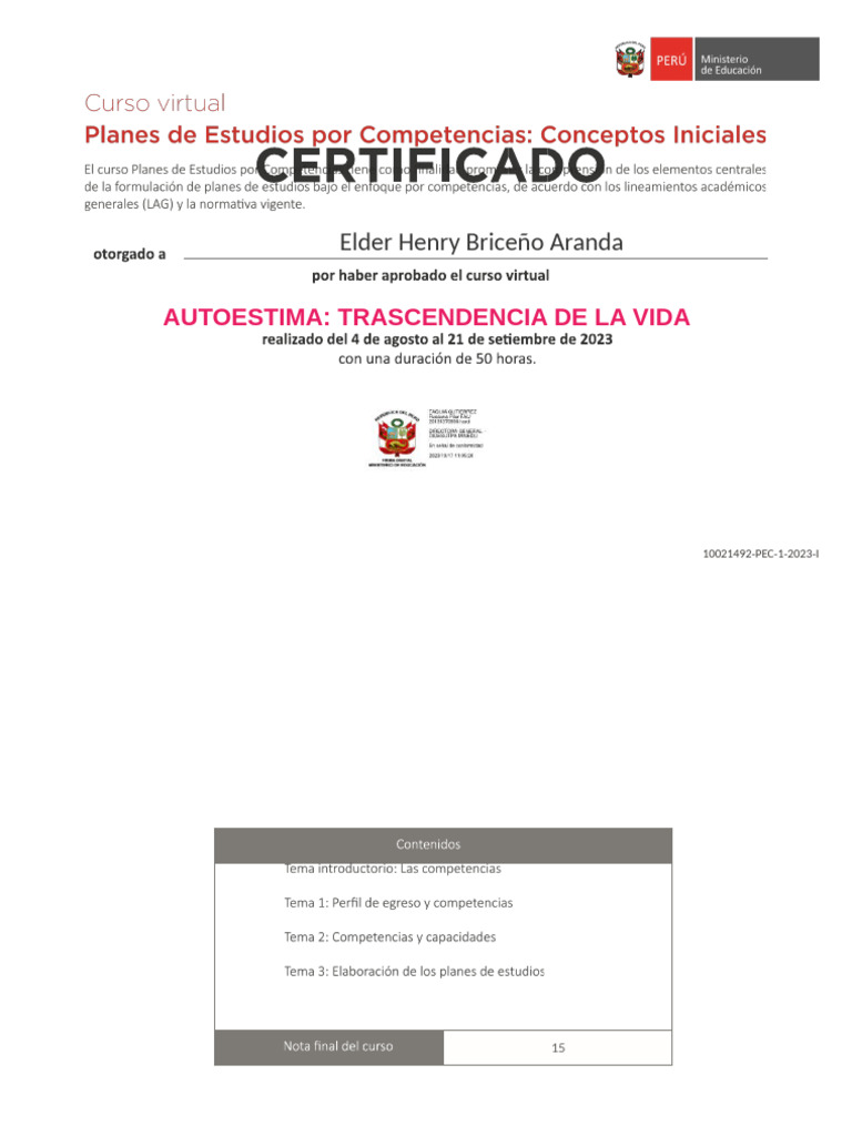 Elder Henry Briceño Aranda | PDF