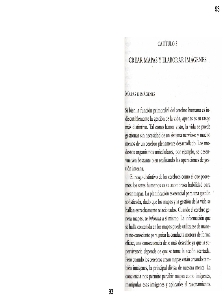Cap.3 Crear mapas y elaborar imágenes Psico I-ciclo-I-2024 (1) | PDF