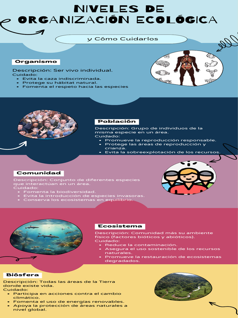 Niveles de Organización Ecológica | PDF