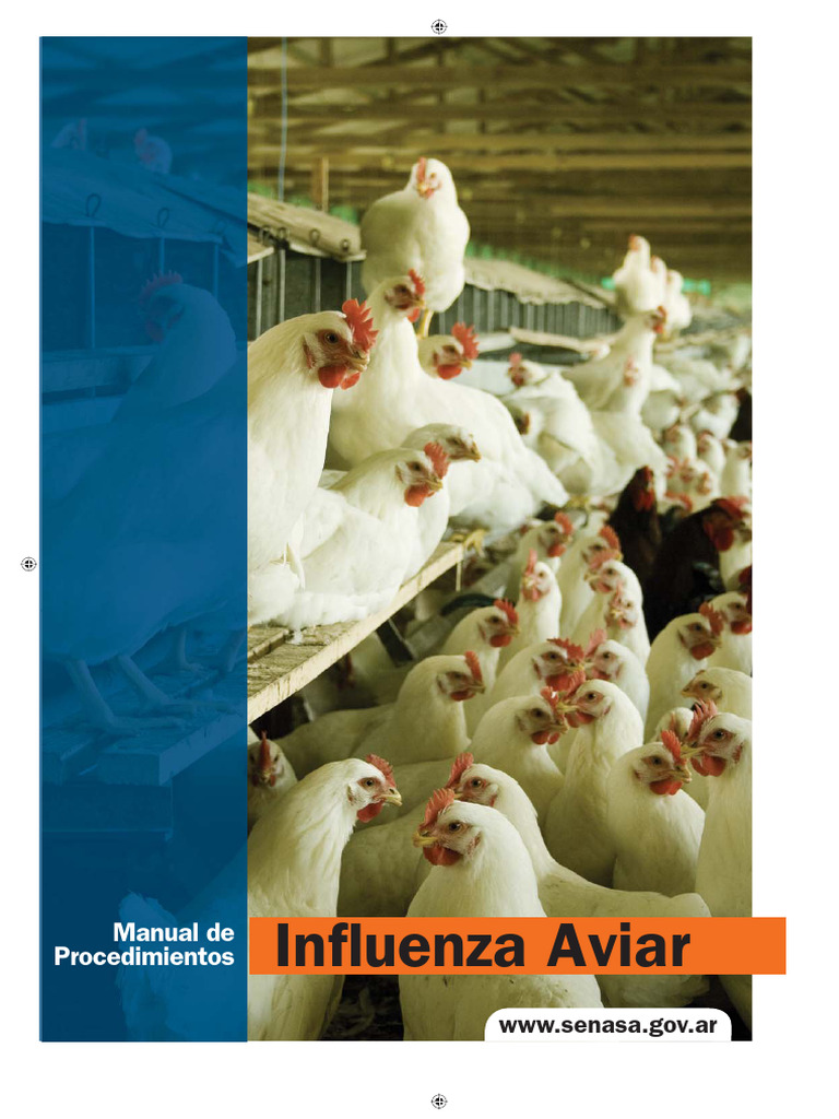 Influenza-aviar - SENASA - | PDF | Influenza | Influenza aviar