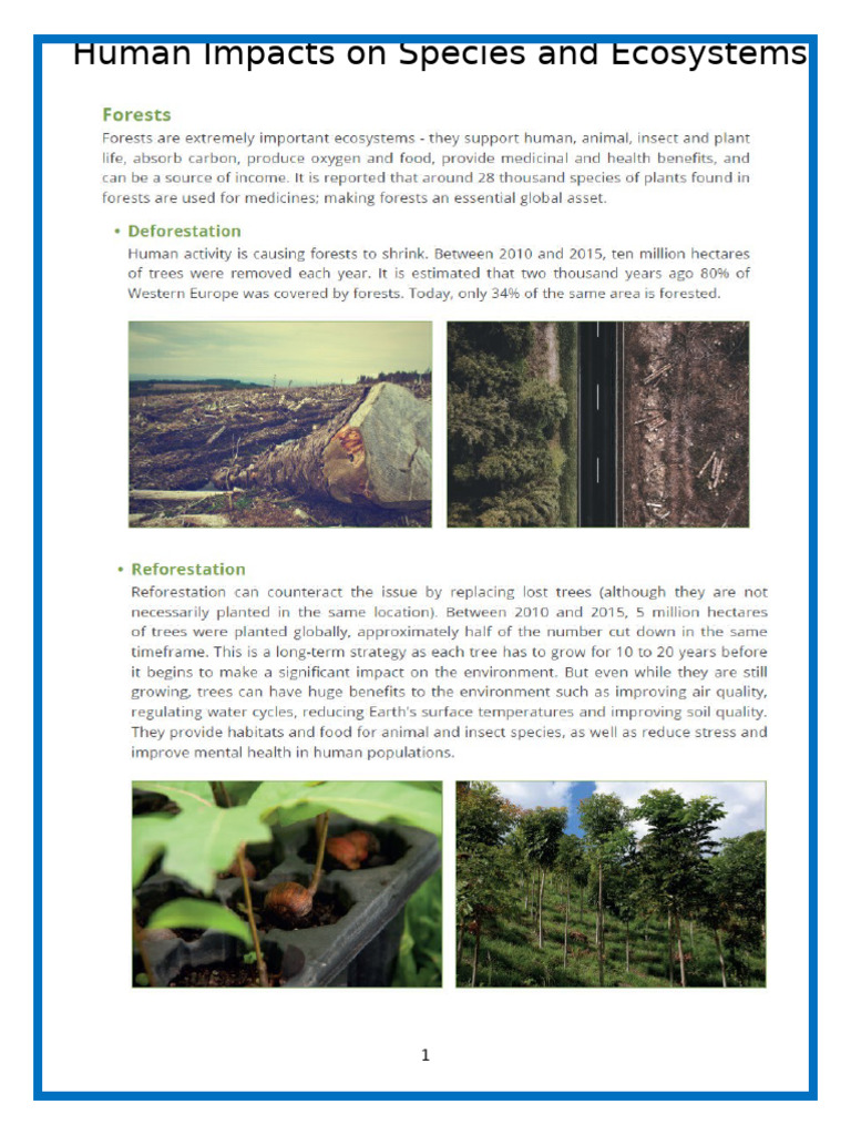 Human Impacts On Ecosystems | PDF