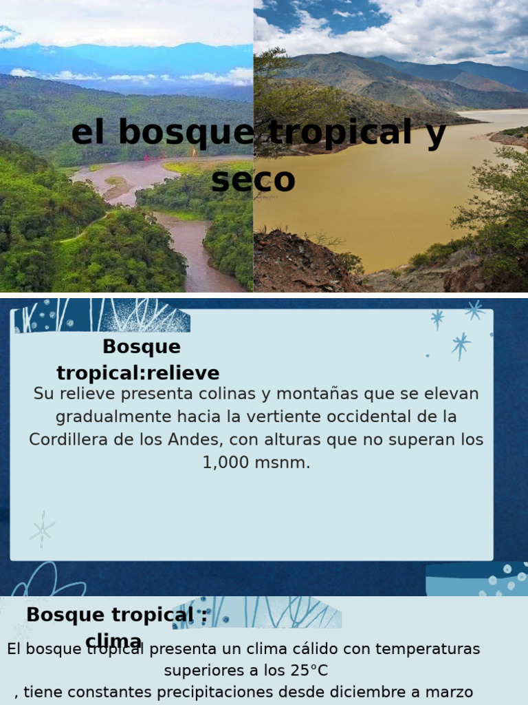 El Bosque Tropical y Seco | PDF