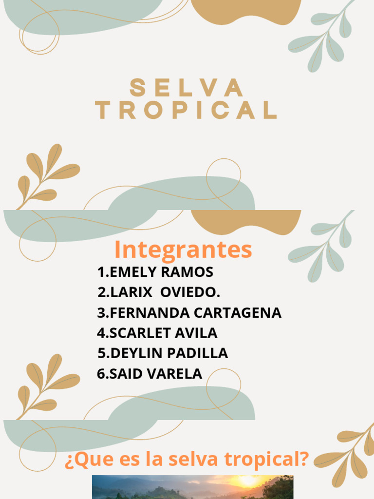 Selva Tropical PDF | PDF
