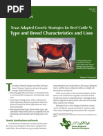 Cow Taxonomic Classification | PDF