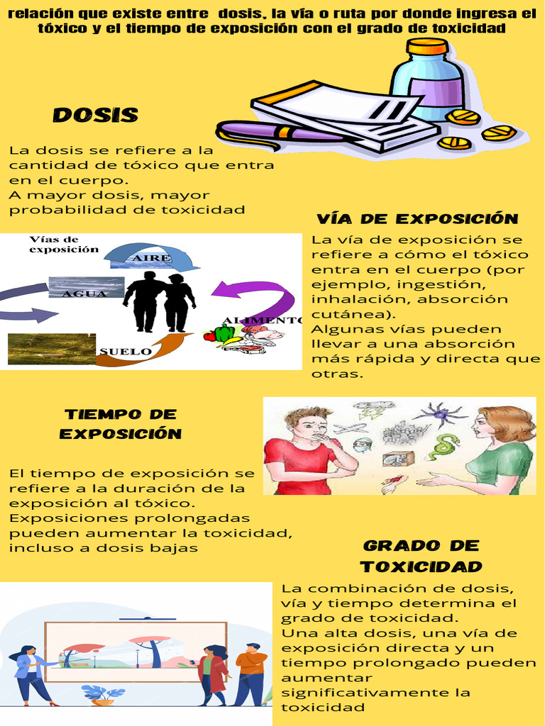 Relación Que Existe Entre La Dosis, La Vía o Ruta Por Donde Ingresa El ...