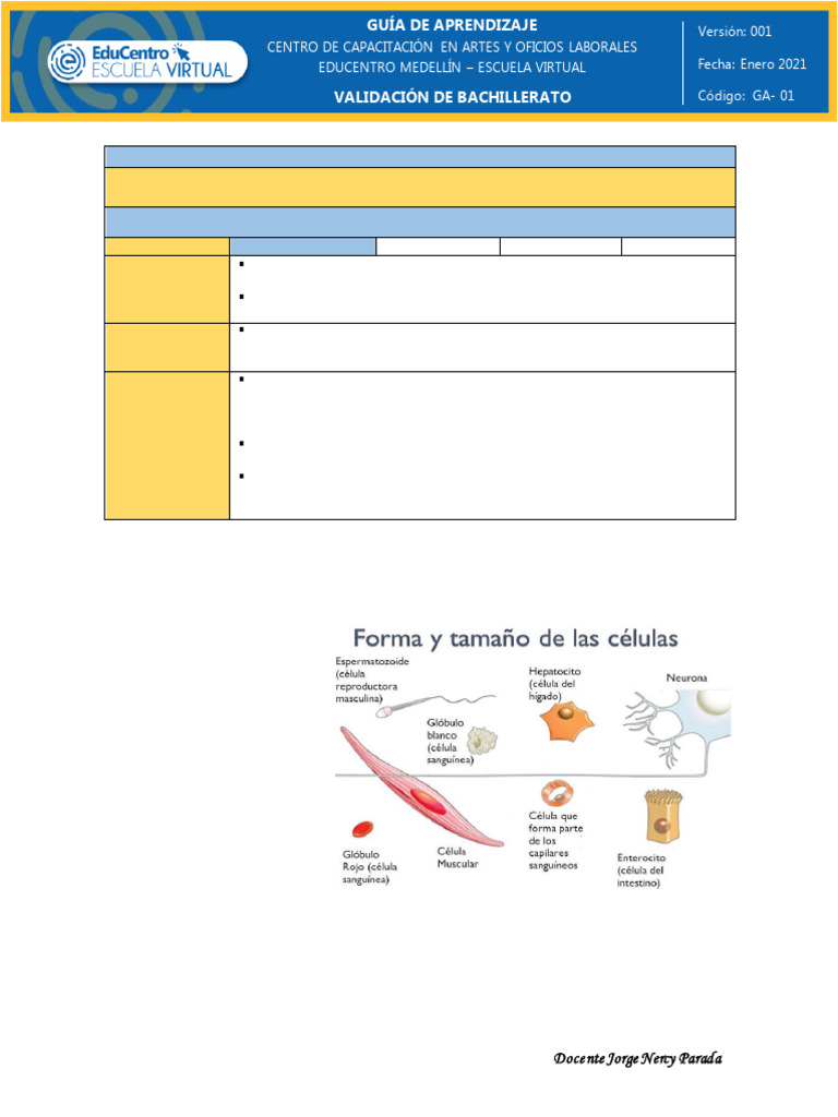 Guia Aprendizaje N 1 PVV Area - Ciencias Naturales y Educacion Ambiental | PDF | Biología ...