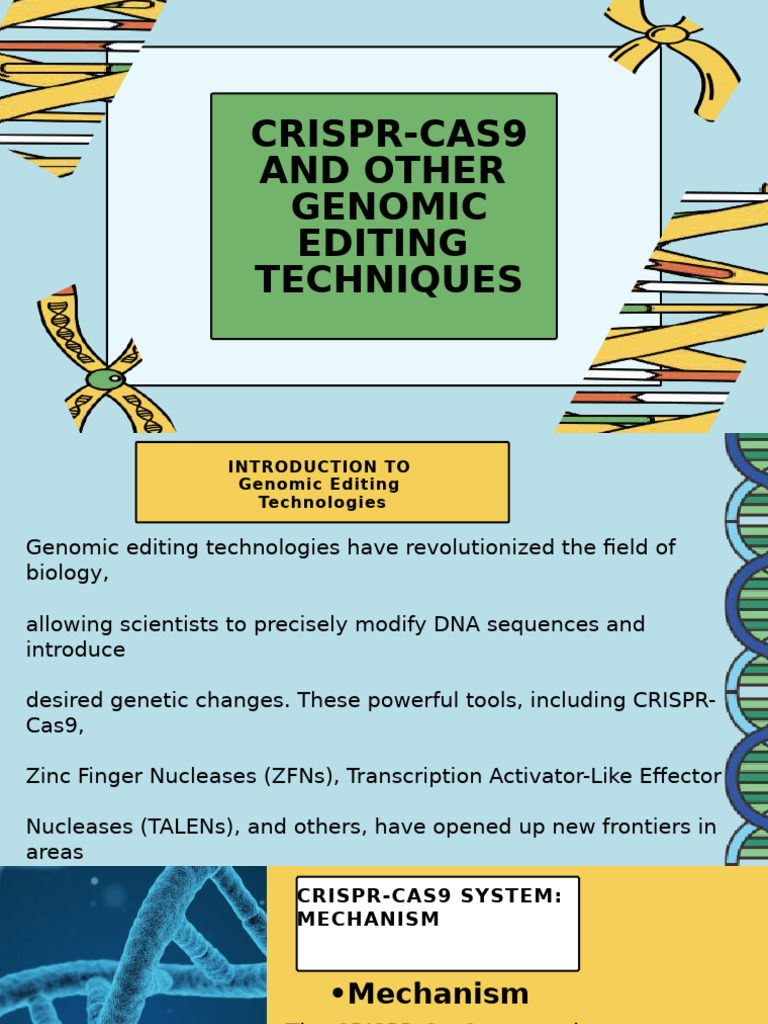 Structure of DNA Science Presentation in Light Blue Green Lined Style | PDF | Restriction Enzyme ...