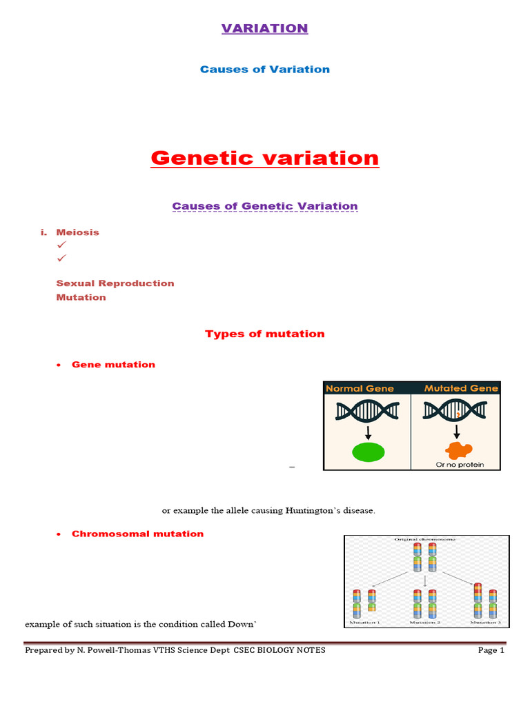 Genetics Handout Real Completed 2021 | PDF | Dominance (Genetics) | Zygosity