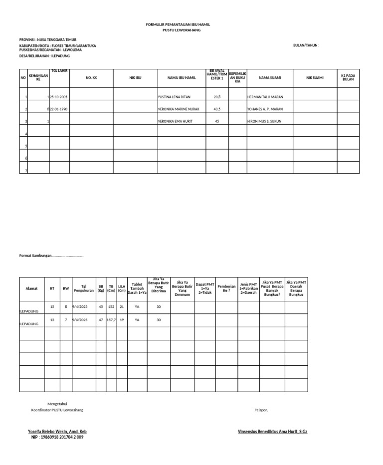 Gizi, Formulir Pemantauan Bumil, Ip | PDF