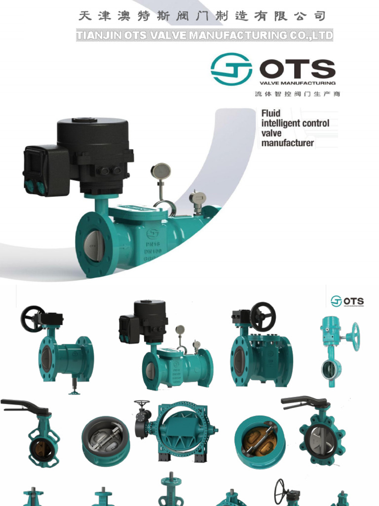 OTS Flanged Combination Valve Overview | PDF | Valve | Steel
