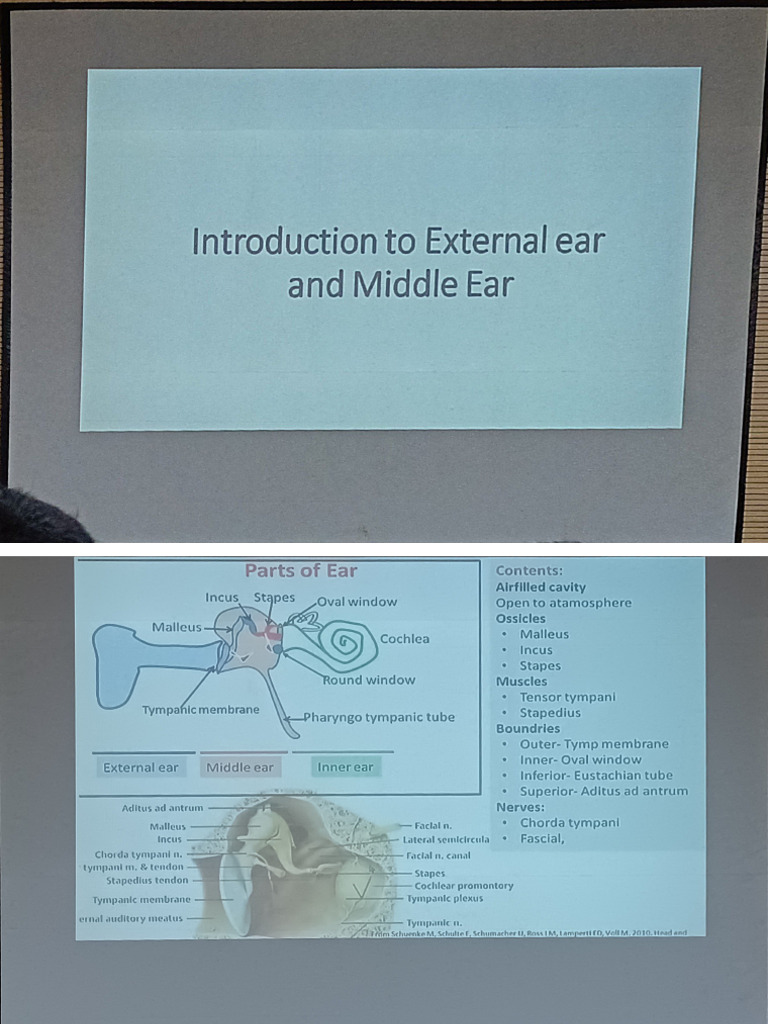 External & Middle Ear | PDF