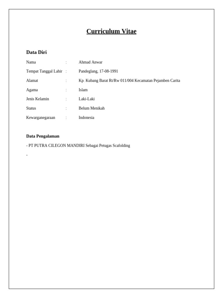 Curriculum Vitae Anwar | PDF