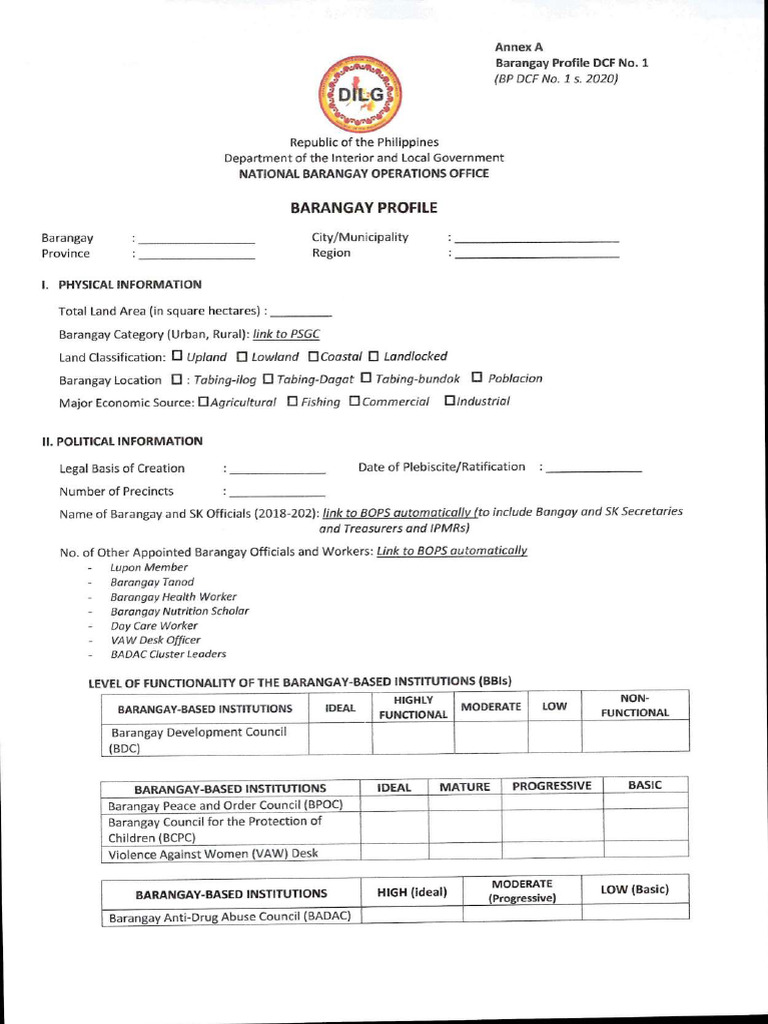Barangay Profile Template | PDF