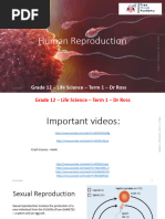 Grade 12 Human Reproduction Test | PDF