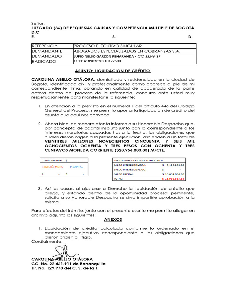 Liquidación de Crédito: Carolina Abello | PDF | Ley Pública | Ley común