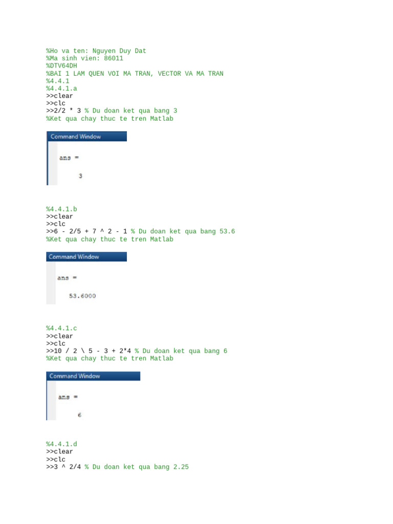 Nguyen Duy Dat | PDF