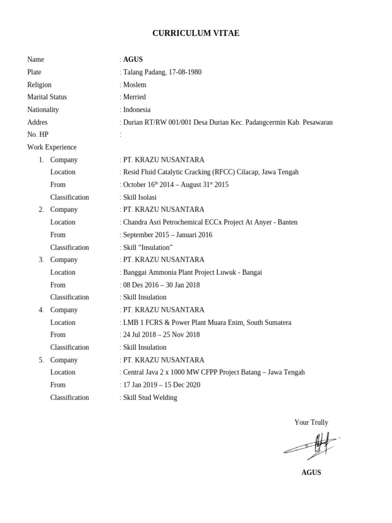 Curriculum Vitae Agus | PDF