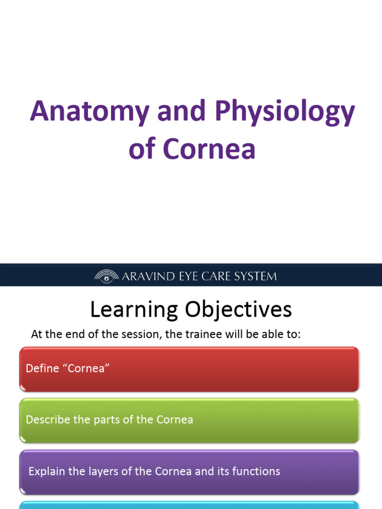 Anatomy-and-Physiology-of-Cornea-Teaching-Slides | PDF | Cornea | Anatomy