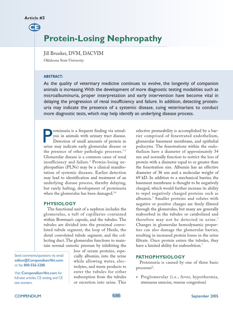 Understanding Protein-Losing Nephropathy | PDF | Kidney | Medical ...