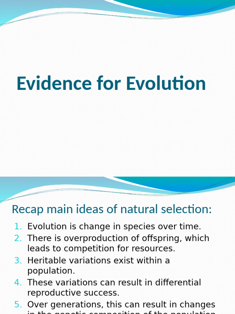 Evidence For Evolution | PDF | Evolution | Homology (Biology)