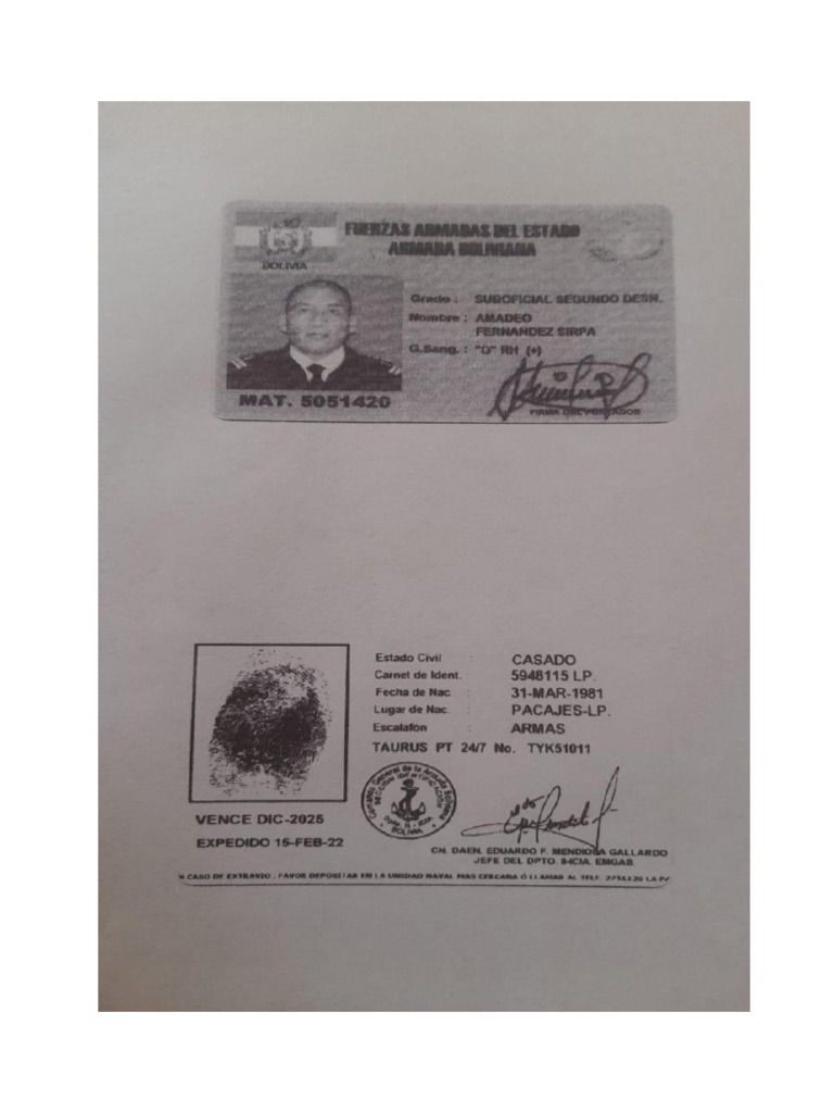 Documeentos Amadeo Fernández Sirpa | PDF