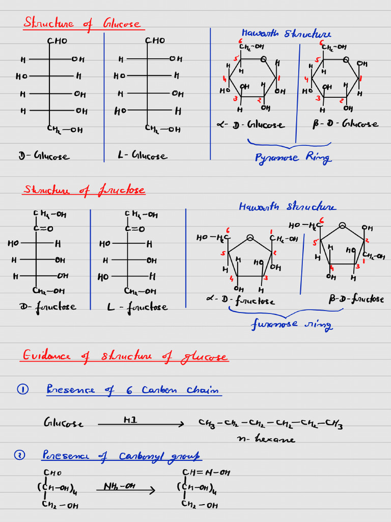 Biomolecules | PDF