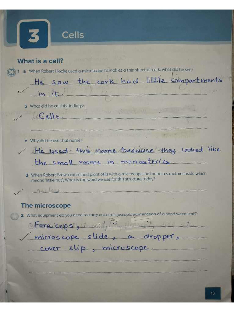Unit Cells - Workbook Pages | PDF