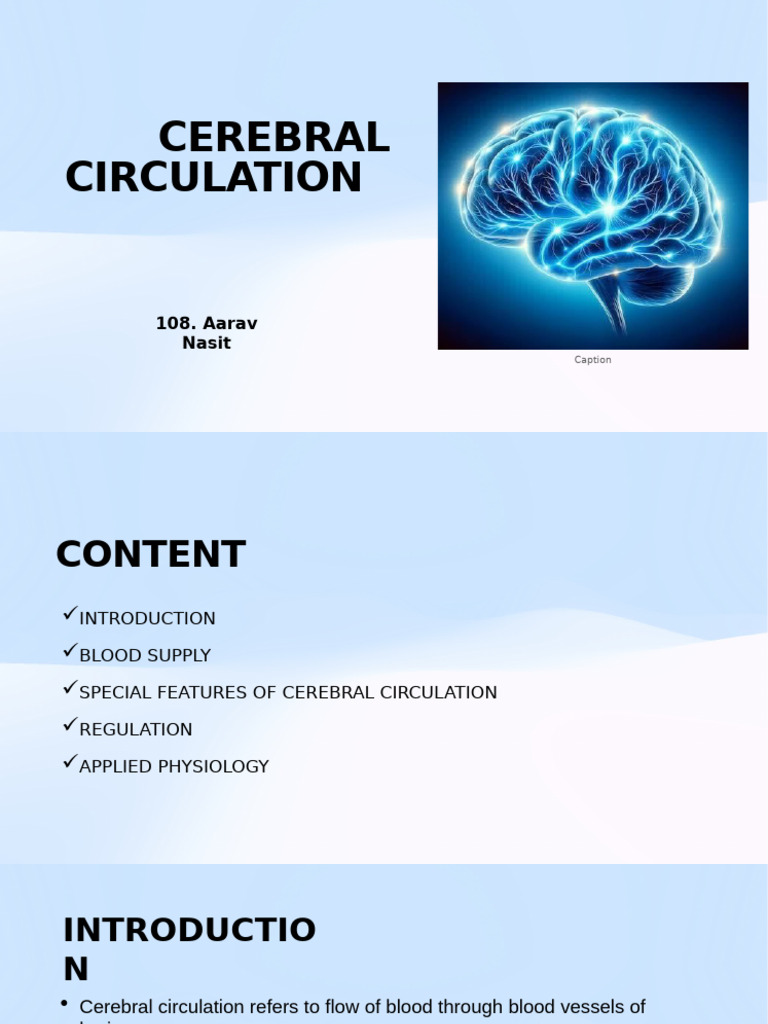 Cerebral Circulation | PDF | Circulatory System | Physiology