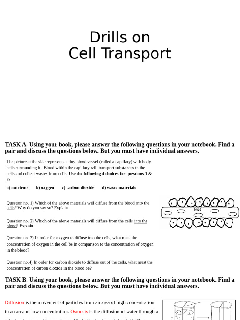 Drills on Cell Transport | PDF | Diffusion | Blood