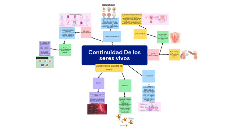 Mind Map Brainstorm Whiteboard | PDF | Ciclo menstrual | Menstruación