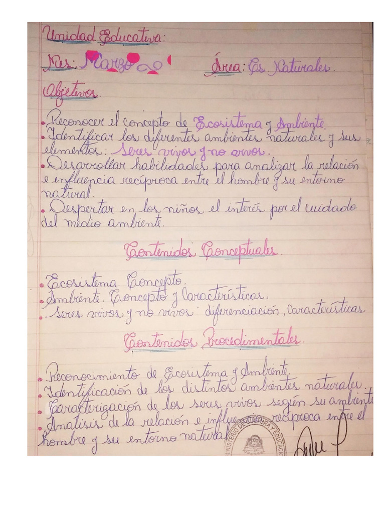 Plan Cs Naturales | PDF