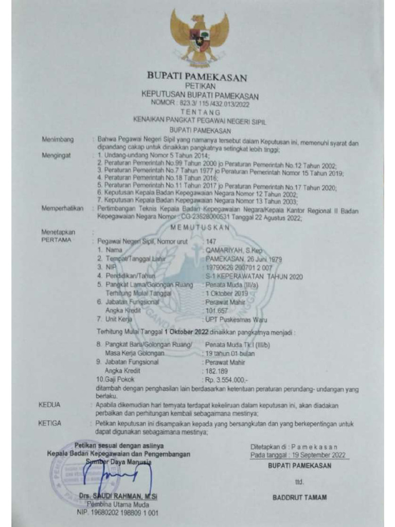 SK IIIb Yayak | PDF