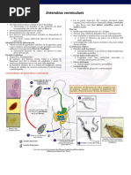 CDC - DPDX - Enterobiasis | PDF | Sistema digestivo | Parasitología