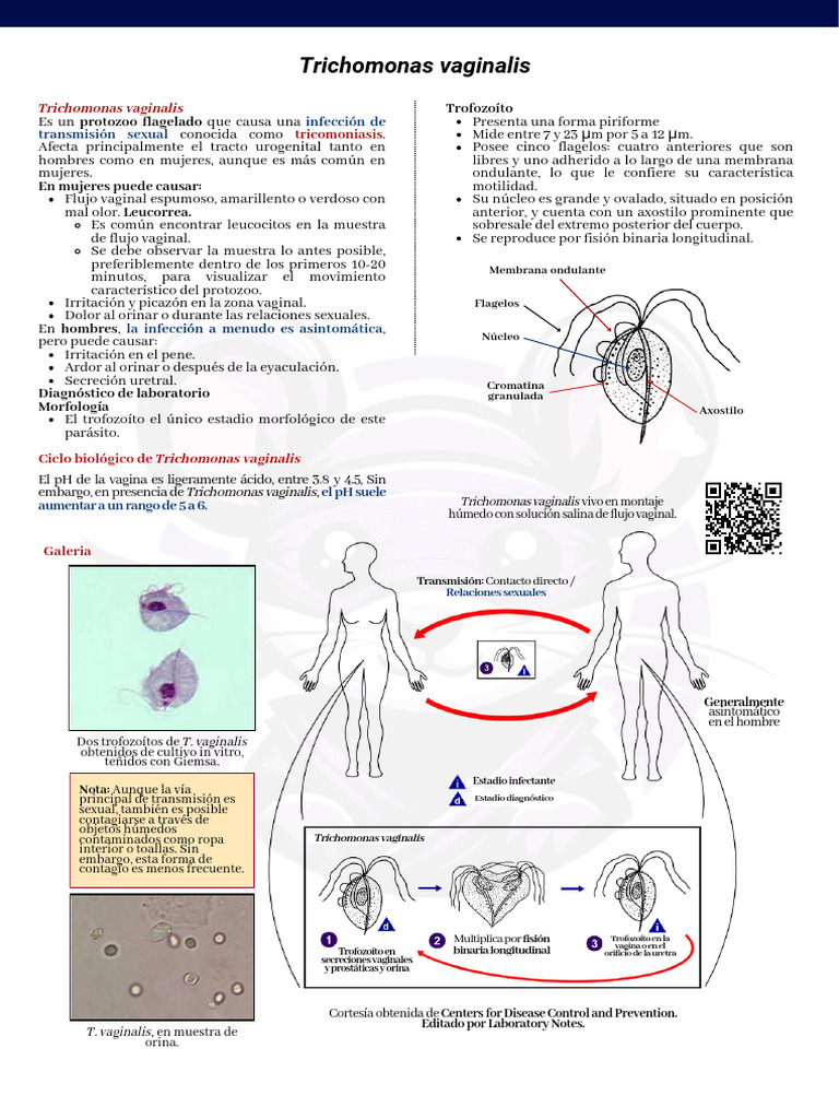 Trichomonas Vaginalis | PDF | Microbiología