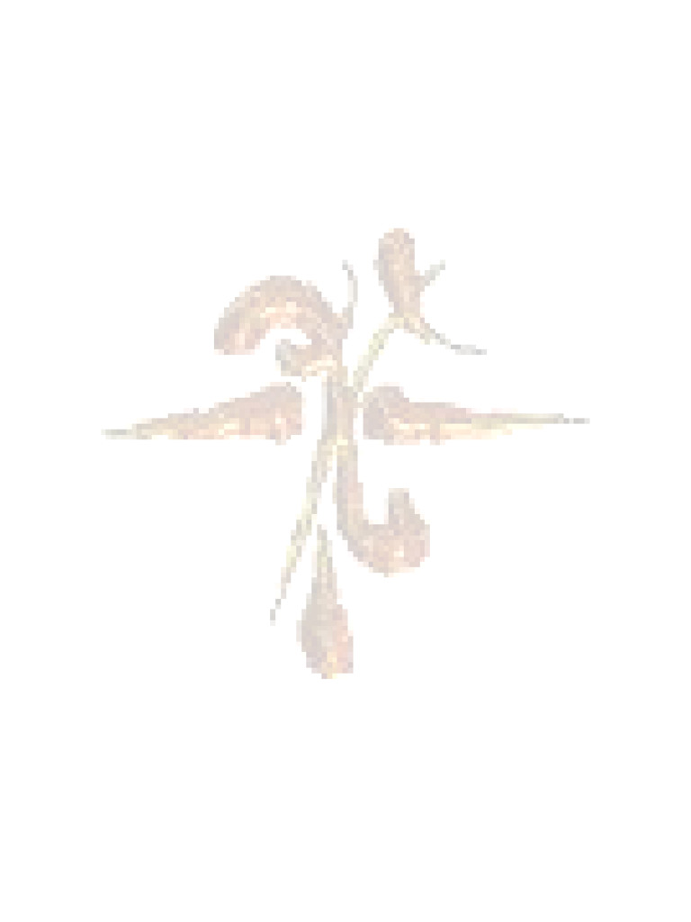 OWbN Uktena Packet | PDF | Rituals