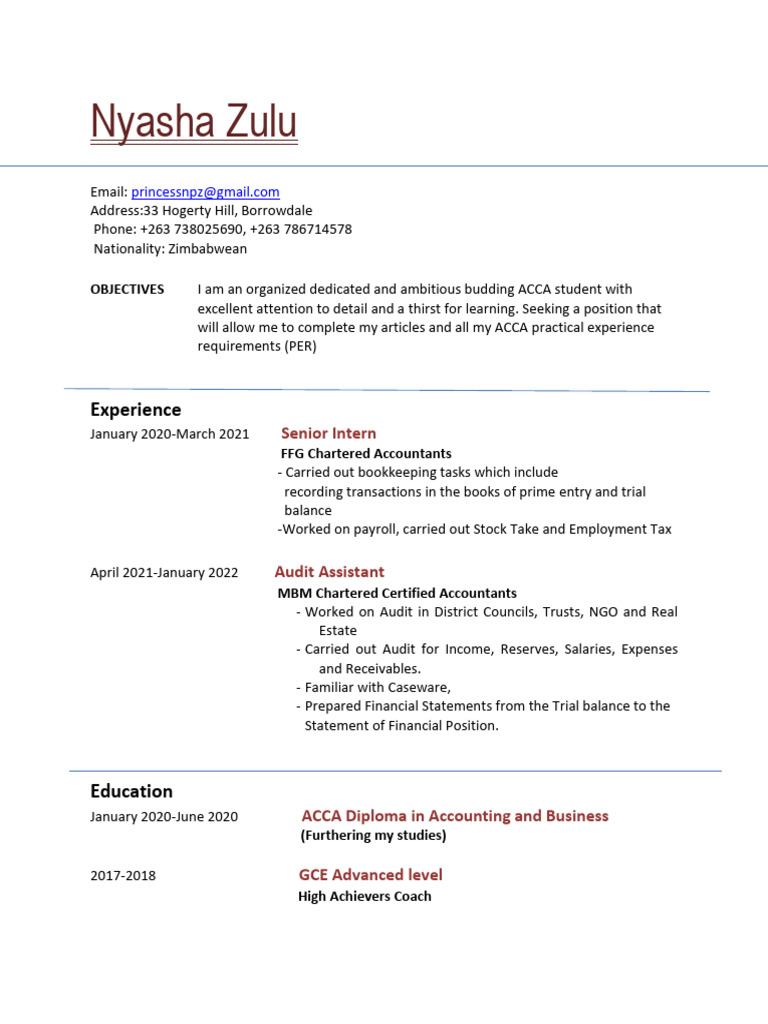 Nyasha Zulu: Experience | PDF