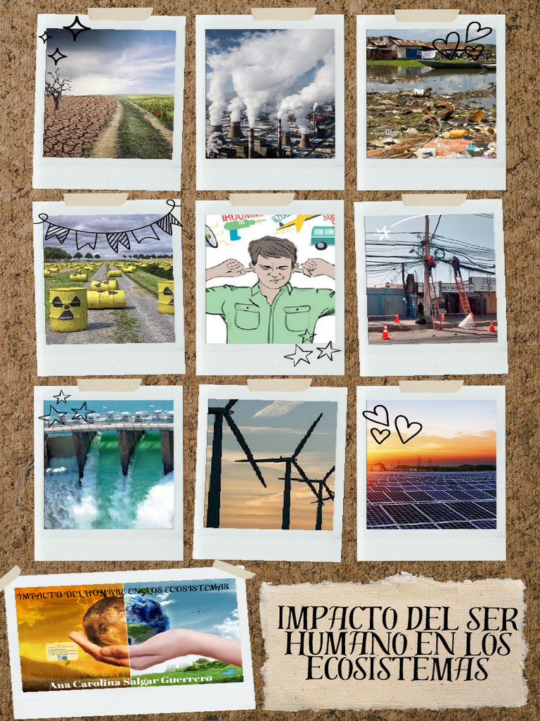 El Impacto Humano Sobre El Ecosistema | PDF