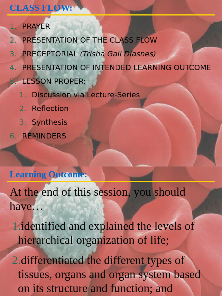 Levels of Biological Organization - Tissues, Organs and Organ System ...