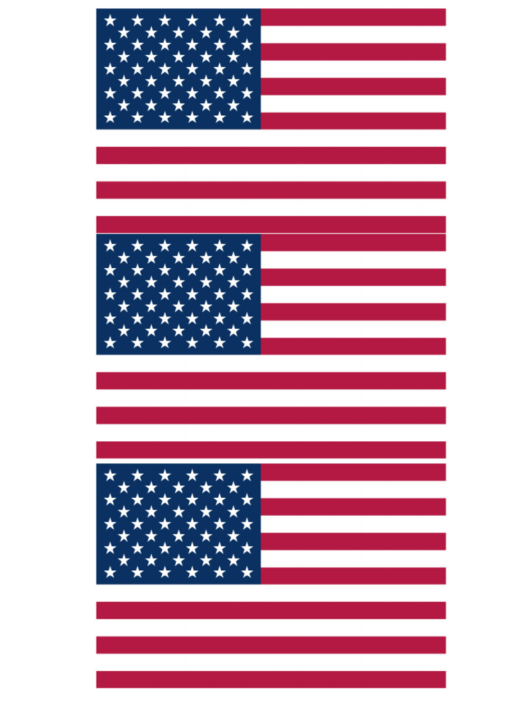 Flag | PDF